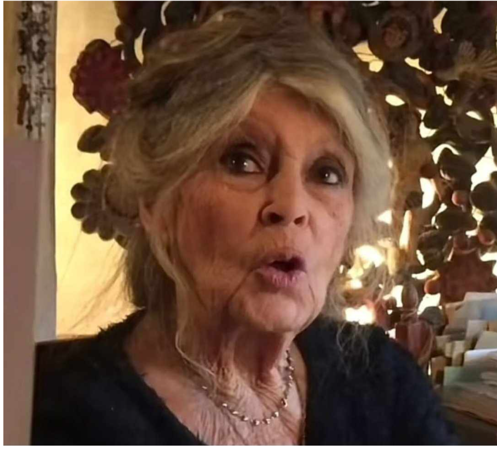 90-year-old Brigitte Bardot appeared before her fans. With her memory intact and her mind sharp ...