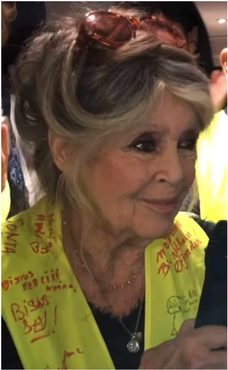 90-year-old Brigitte Bardot appeared before her fans. With her memory ...