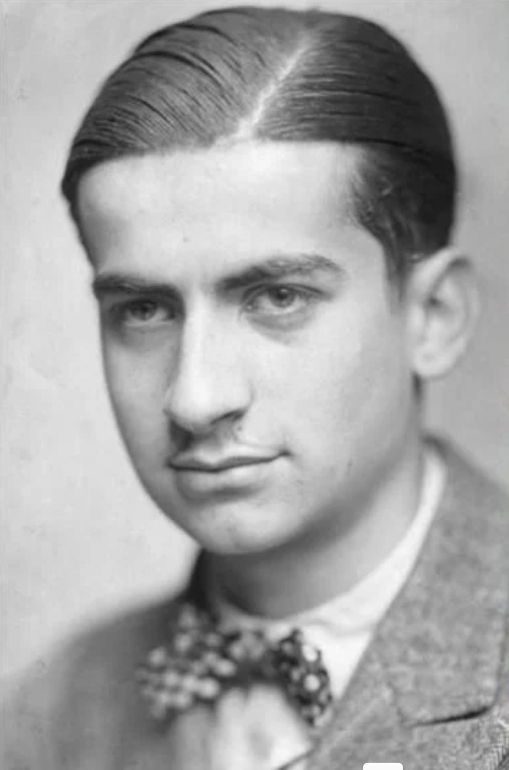 The late celebrity Louis de Funès and the price of fame. What do you need to know? - rasplove.com